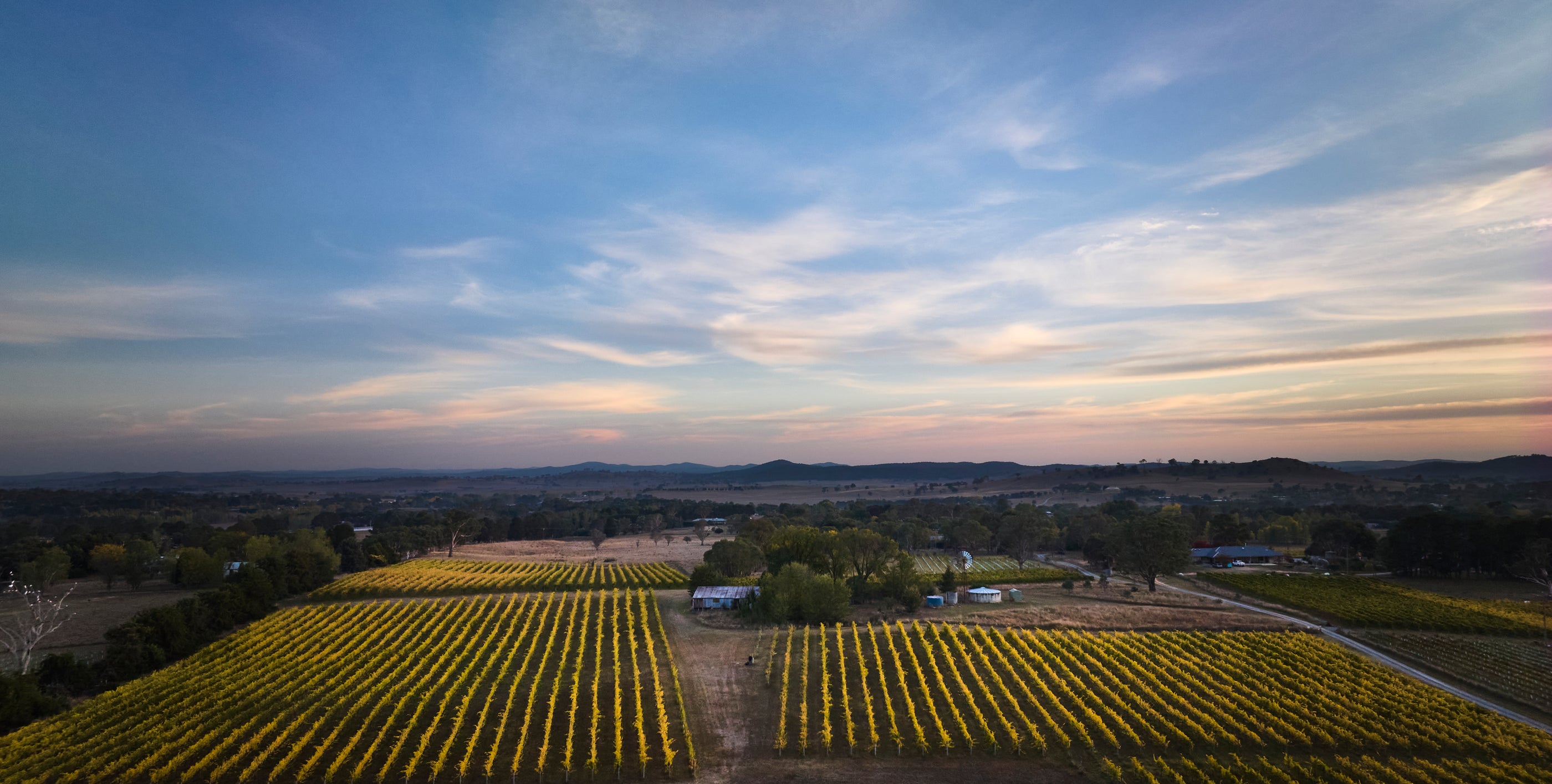 O'Riada 2024 Release – Clonakilla