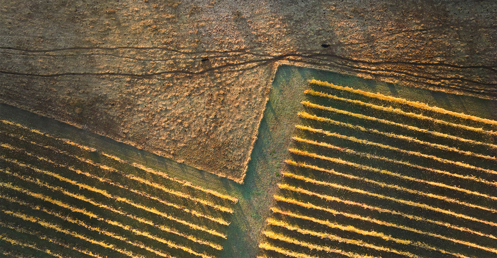 Clonakilla Wines
